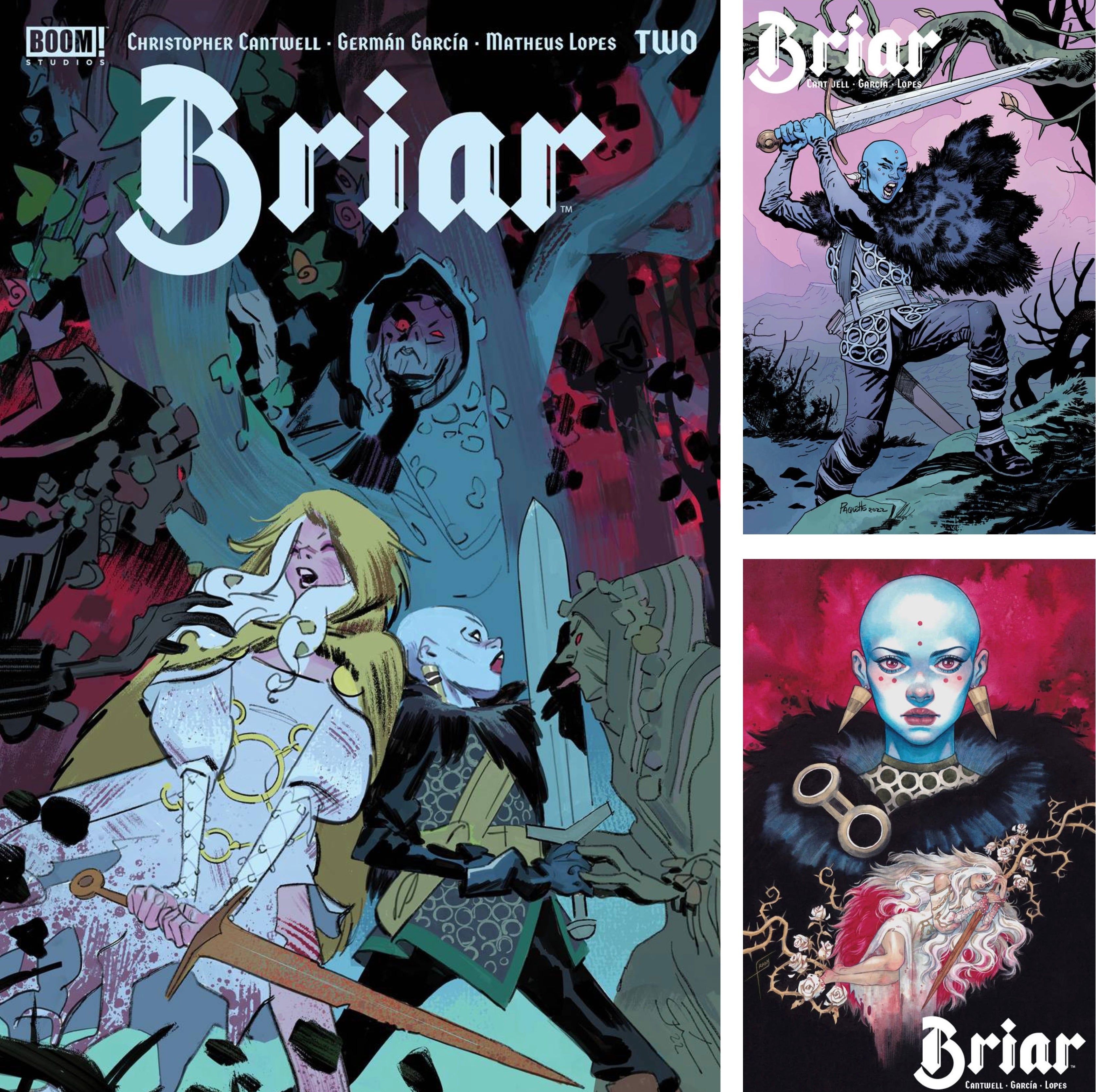 Briar #2 – Comicbookeroo